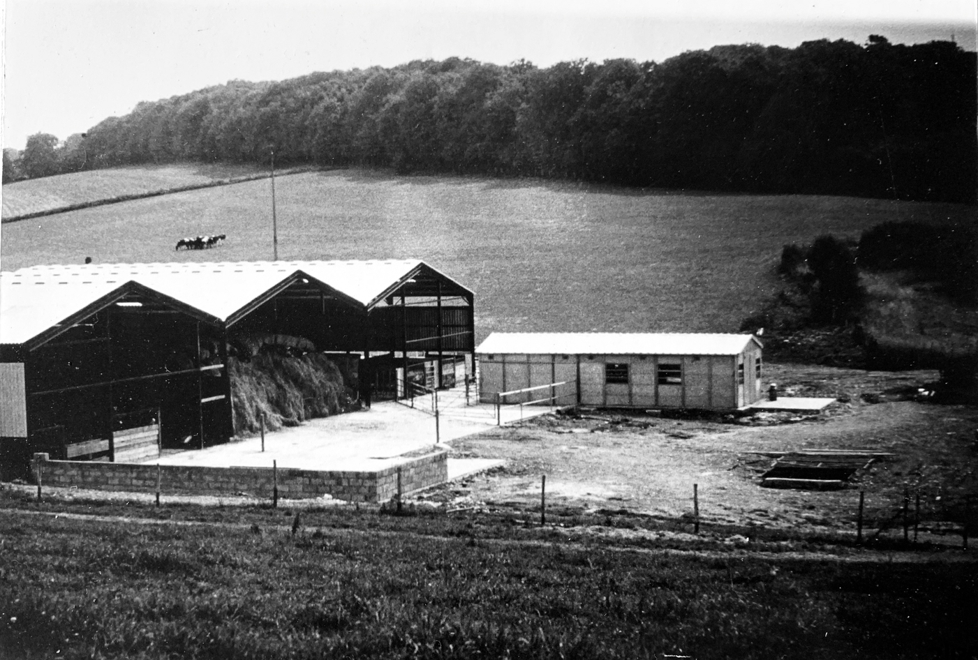 Landmarks (L1030) Court Lodge - Stansted History